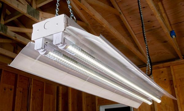 LED shop light guide: How to Choose the Best one